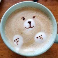 Flash Cooking and More – The Lazy Cook's Guide